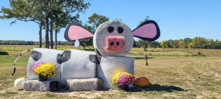 Farm Fresh – Jennings County